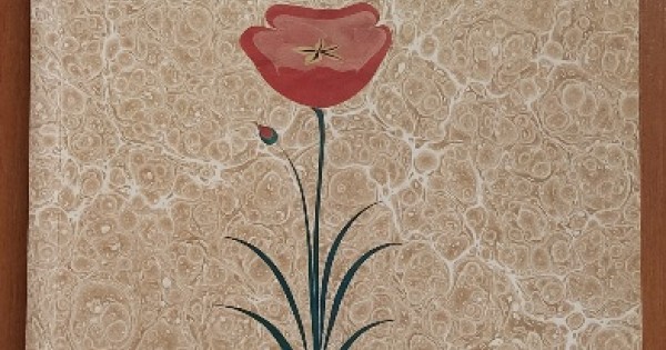 EBRU SANATI- TARİHÇE- MALZEME- UYGULAMA