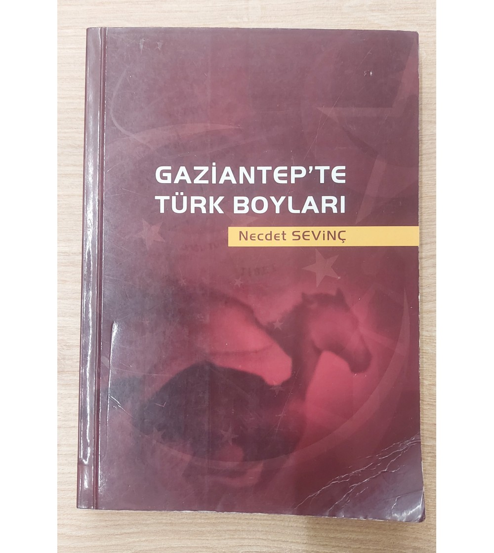 GAZİANTEP'TE TÜRK BOYLARI