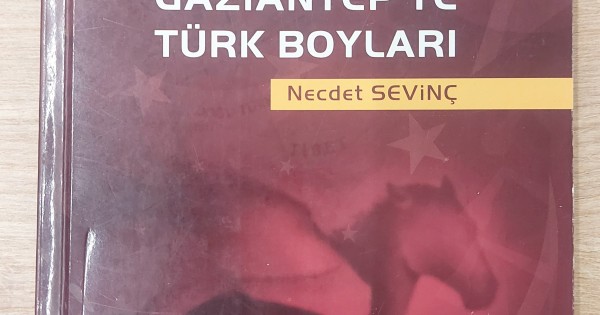 GAZİANTEP'TE TÜRK BOYLARI